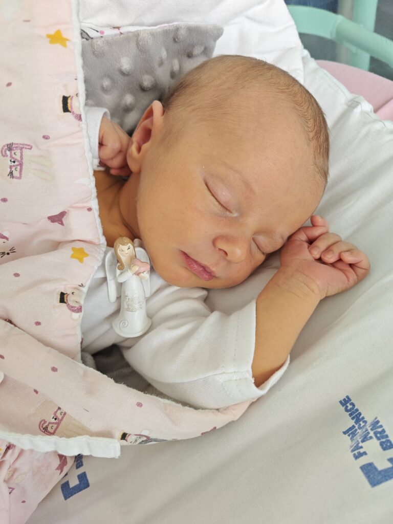 Kačenka | Repromeda